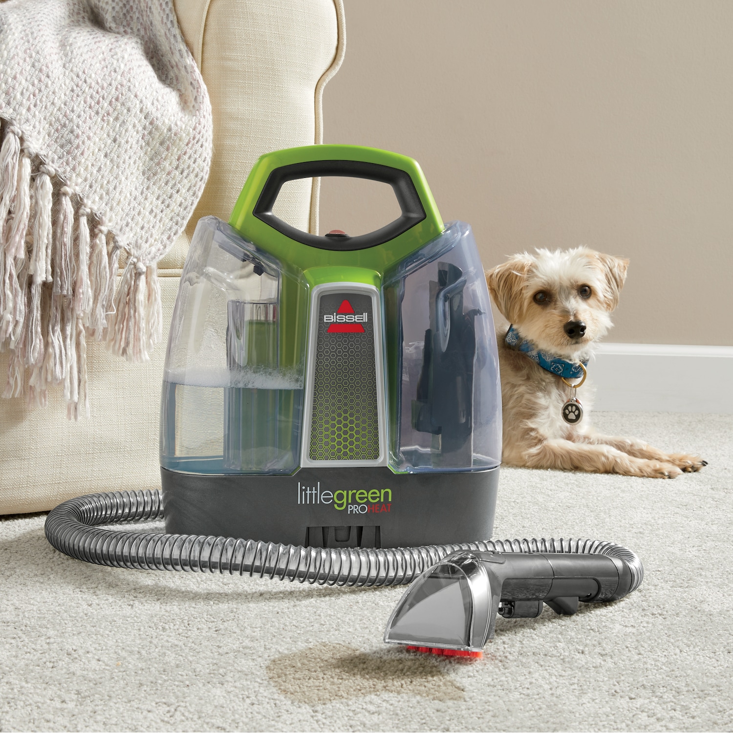 Bissell small carpet cleaner store
