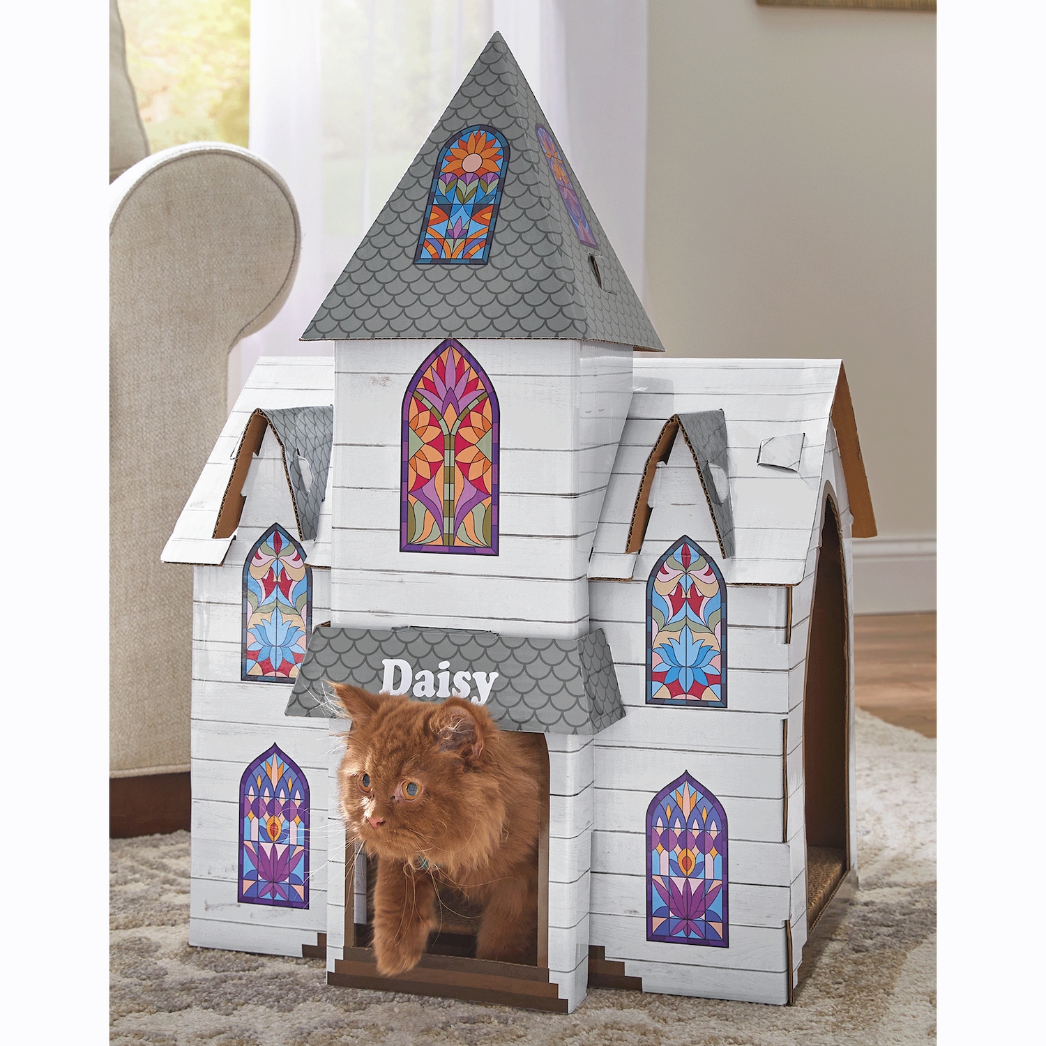 Cardboard Cat Church | Montgomery Ward