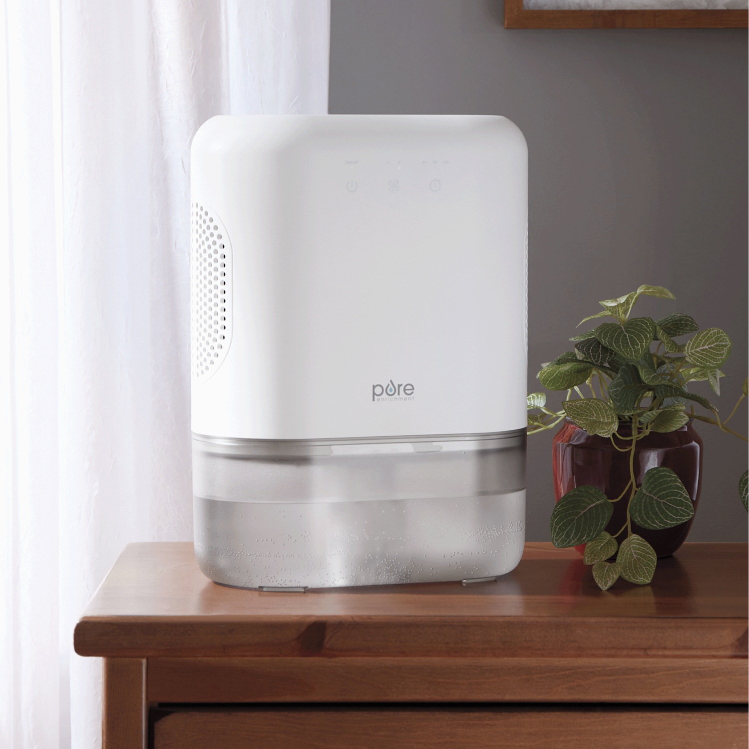 Pure Enrichment Pure Dry Elite Dehumidifier | Montgomery Ward