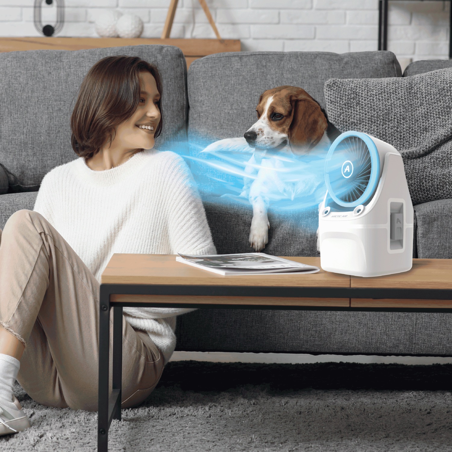 Arctic Air Ice Jet X3 | Montgomery Ward