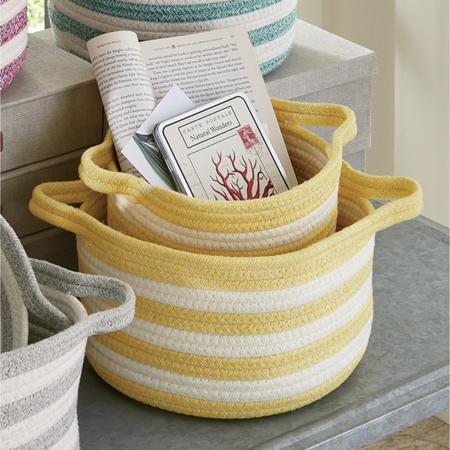 Color Connection Set of 2 Baskets | Montgomery Ward