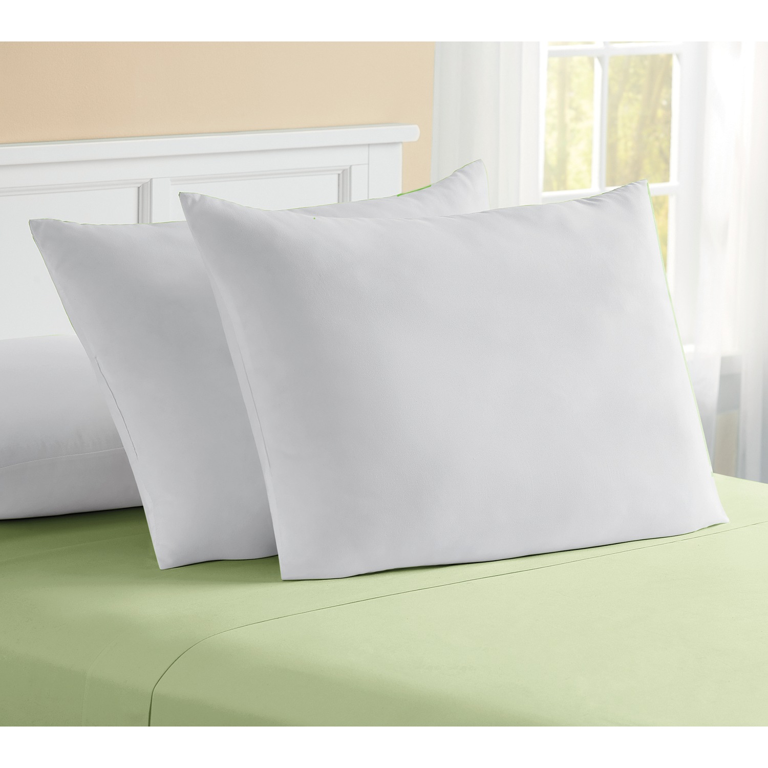 Set of 2 Pillows | Montgomery Ward