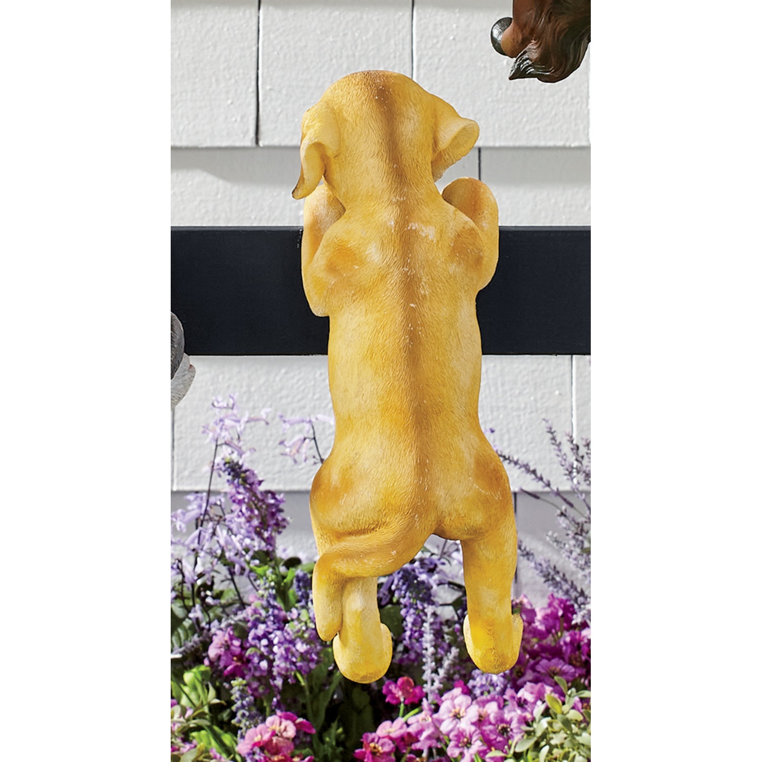 Farm Animal Peekaboo Statues | Montgomery Ward