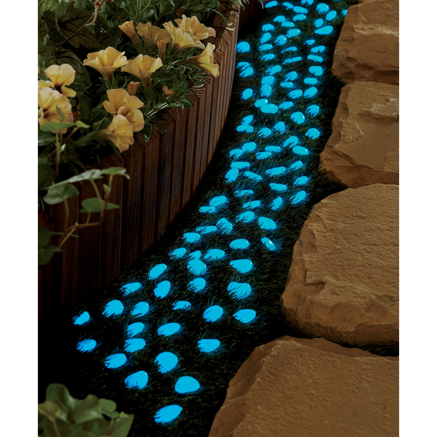 Glow-In-The-Dark Garden Pebbles | Montgomery Ward