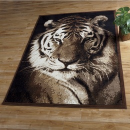 Buy Now, Pay Later Rugs For Your Home | Montgomery Ward