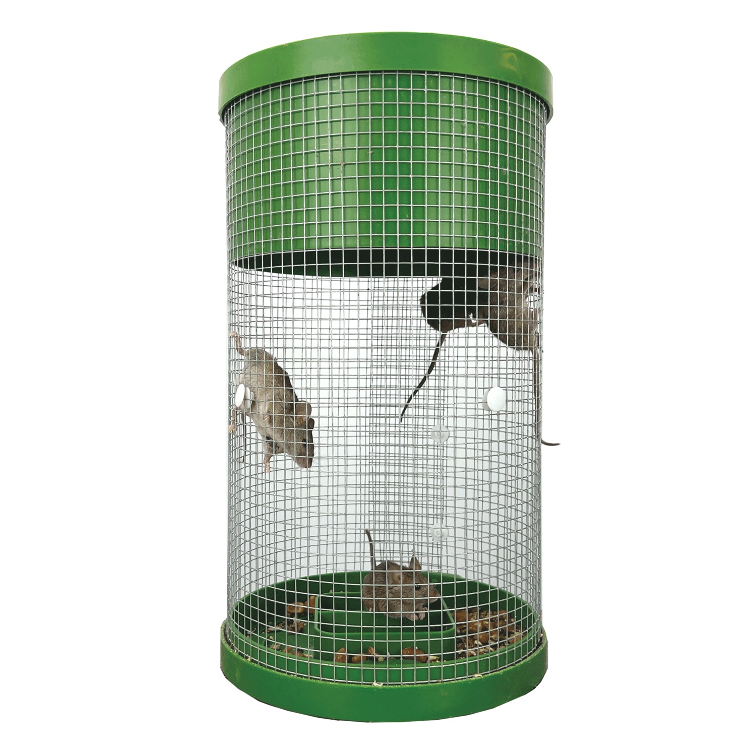 Billy-Bob Humane Catch & Release Mouse Trap | Montgomery Ward